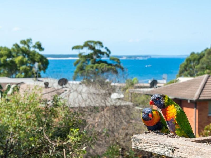 6 Bannister Head Road, Mollymook Beach, NSW 2539 - realestate.com.au