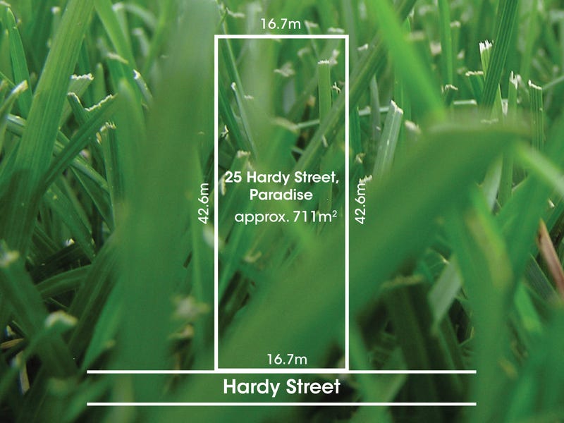 25 Hardy Street, Paradise, SA 5075 - Property Details