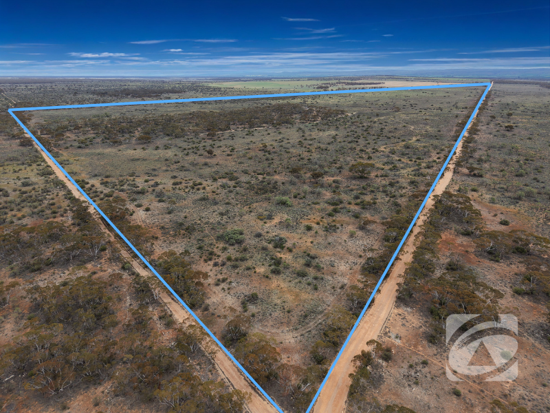 1932 Moorundie Road, Sandleton, SA 5356 - Other for Sale - realestate ...
