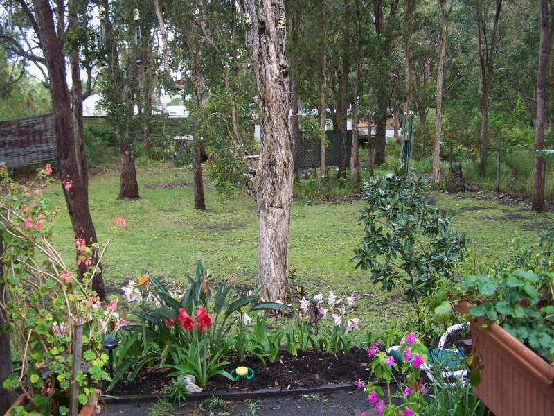 82 Koree Street, Pindimar, NSW 2324 - realestate.com.au