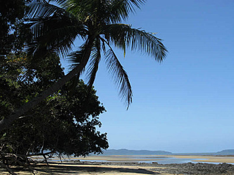 6 Yumba Close, Wonga Beach, QLD 4873 - realestate.com.au