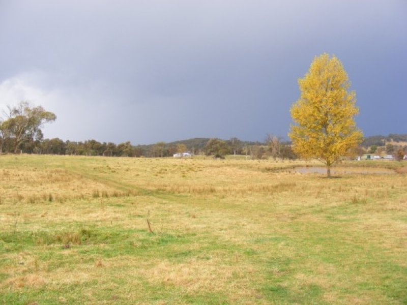 Ebor Road, Guyra, NSW 2365 - Property Details