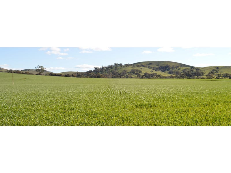 492 BANBURY ROAD, Hallett, SA 5419 - Property Details