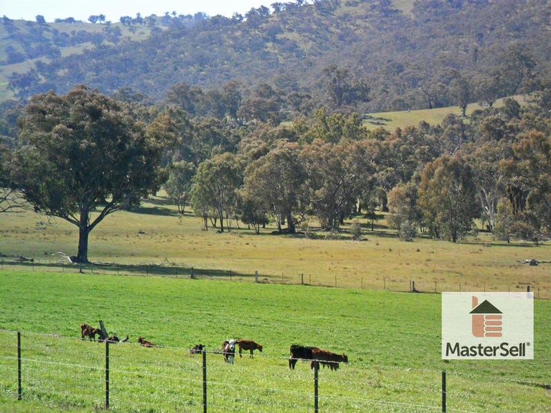 45 Rays Road, Nangus, NSW 2722 - Property Details