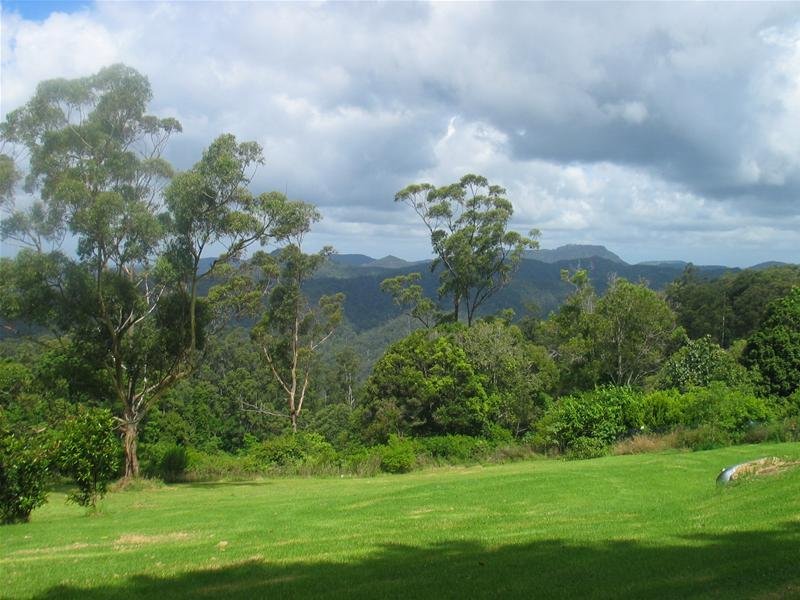 425 Mount Nimmel Road, Austinville, QLD 4213 - realestate.com.au