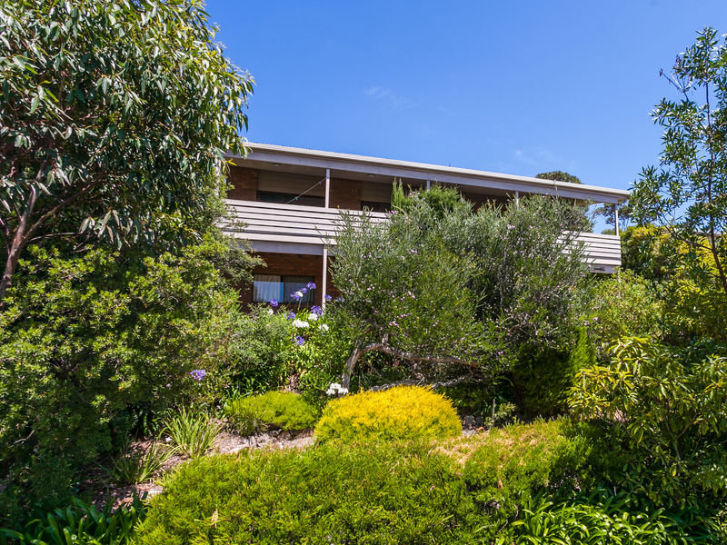 9 Jackson Street, Anglesea, Vic 3230 - Property Details