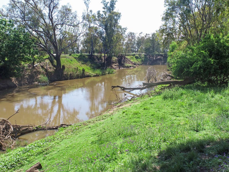 Licence 617789 Wandary Lane, Forbes, NSW 2871 - Property Details