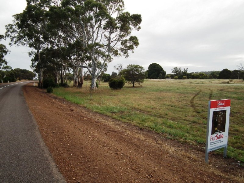 Lots 49, 50 and 62 Sabine Street, Coulta, SA 5607 - Property Details