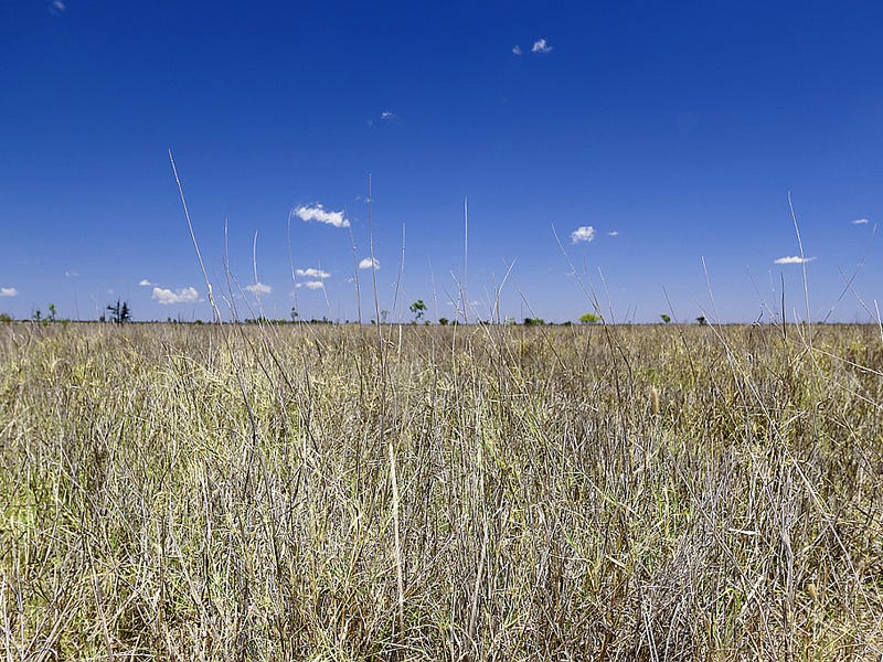 7196 FITZROY DEVELOPMENTAL ROAD, Bingegang, Qld 4702 - Property Details