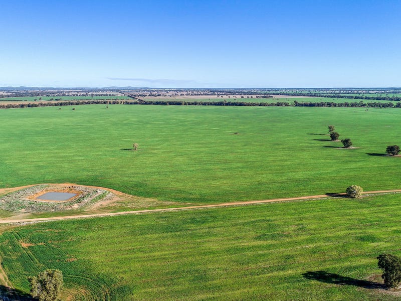 1667 Alagala Road, Tullamore, NSW 2874 - realestate.com.au