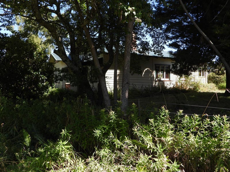 40 Scotts Road, Mole Creek, TAS 7304 - realestate.com.au