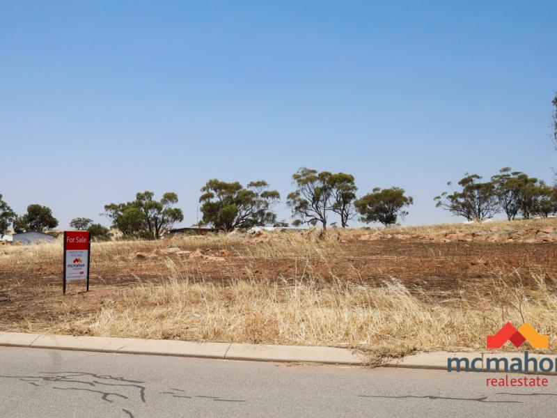 7 Jacamar Drive, Northam, WA 6401 - realestate.com.au