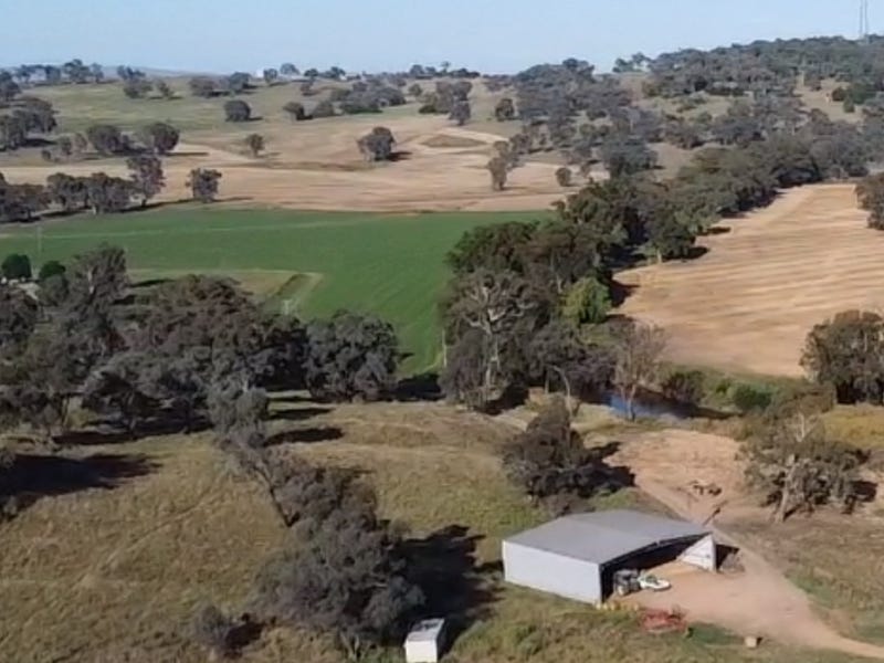 2350 George Russell Drive, Canowindra, NSW 2804 - Other for Sale ...