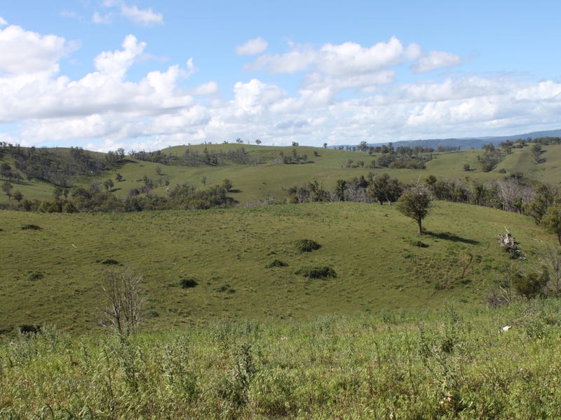 1 Glenrock Station, Scone, NSW 2337 - Property Details