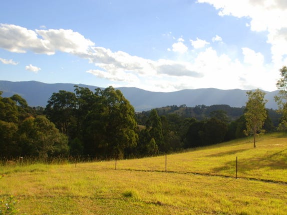 12 Tyalgum Ridge Road, Tyalgum, NSW 2484 - realestate.com.au