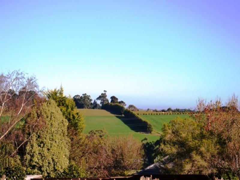 16 Paterson Street, Drouin East, VIC 3818 - realestate.com.au