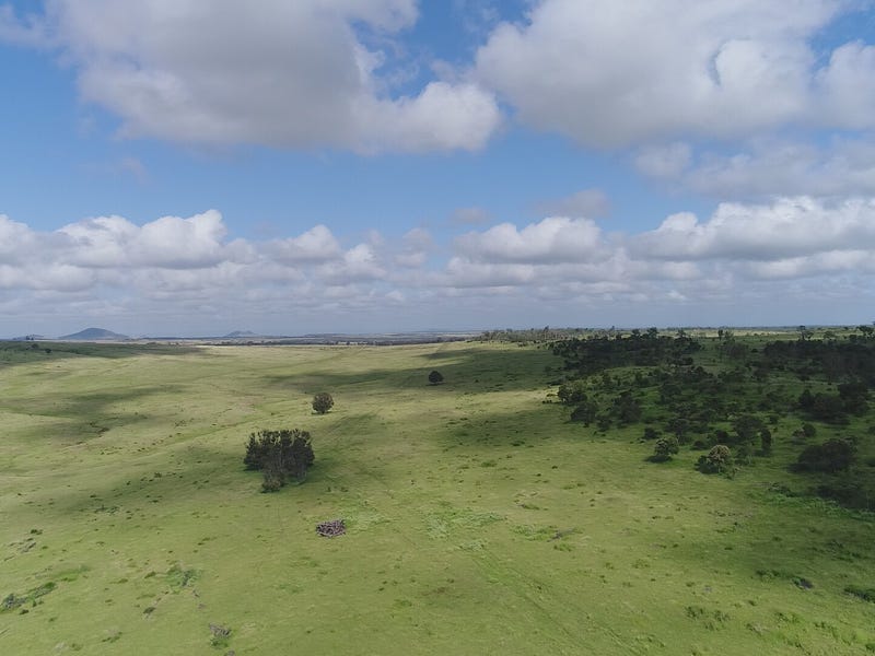 8533 Fitzroy Development Rd, Bauhinia, Qld 4718 - Property Details