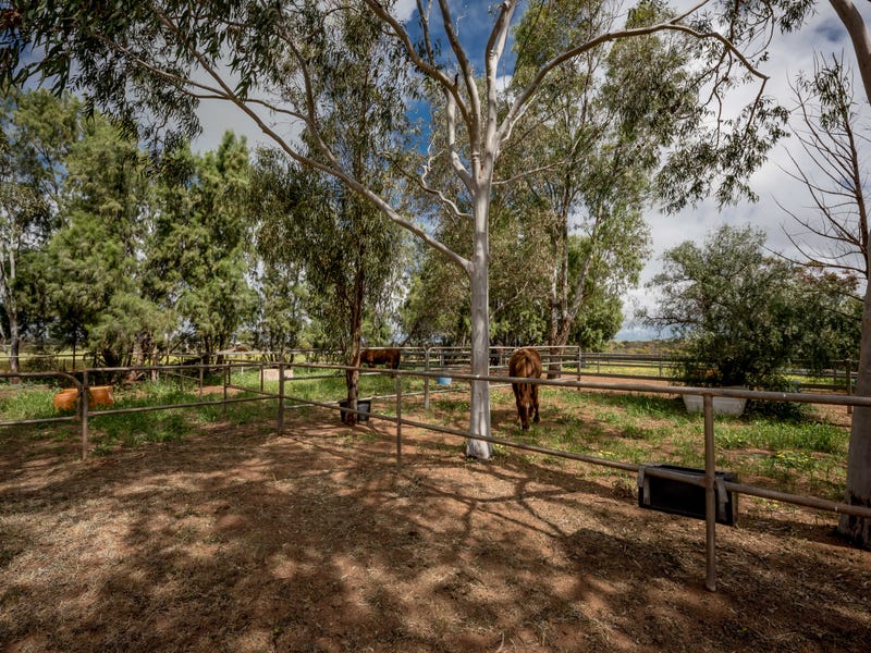5 Hill River Way, Moonyoonooka, WA 6532 - Property Details