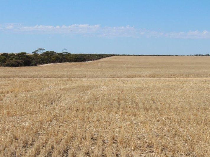 1568 Pickernell Road, Varley, WA 6355 - realestate.com.au