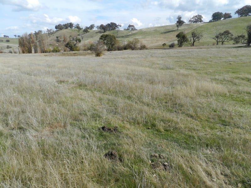 Lot 1 Junction Point Road, Binda, NSW 2583 - Property Details