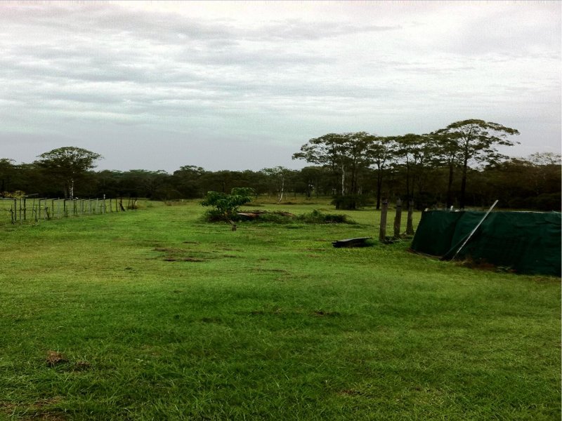 85-91 Rosia Road, Park Ridge South, QLD 4125 - realestate.com.au