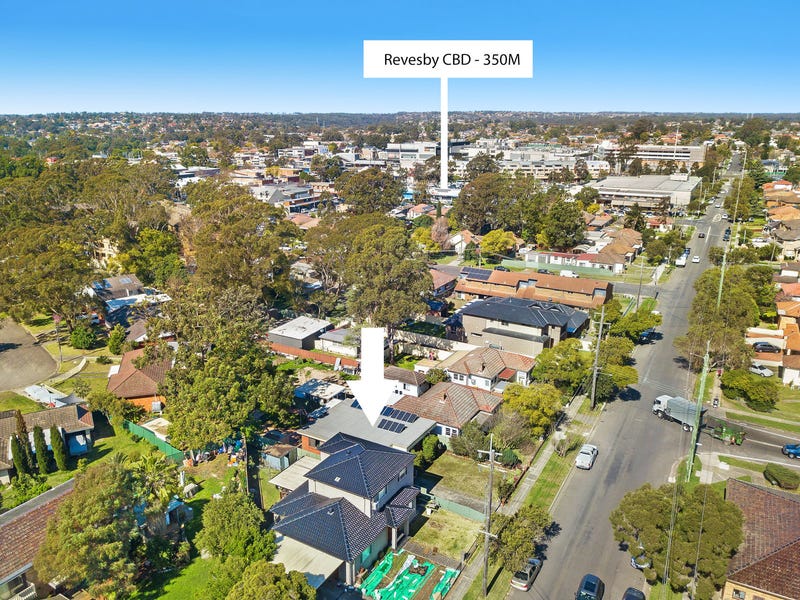 3 Polo Street, Revesby, NSW 2212 - realestate.com.au