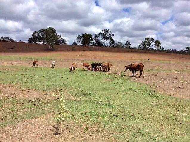 700 Watalgan Road, Waterloo, Qld 4673 - Property Details