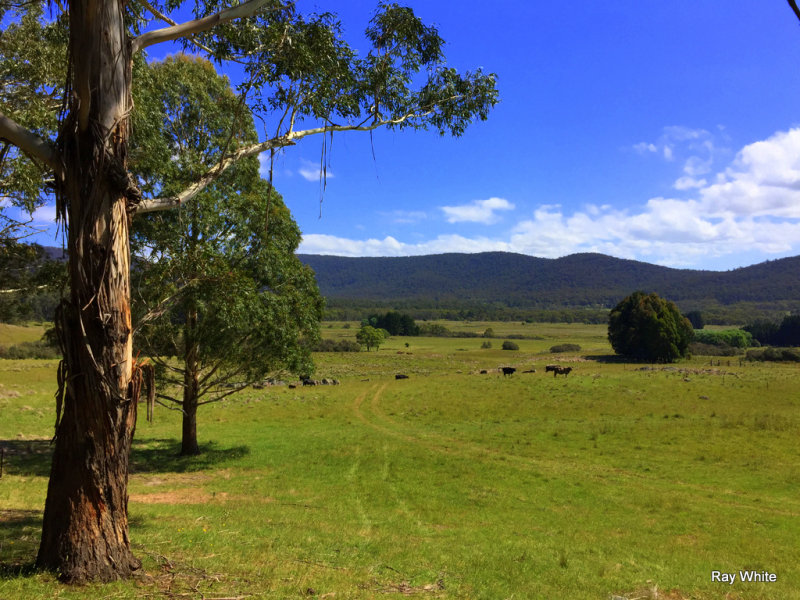 464 Wyanbene Rd, Wyanbene, NSW 2622 - Property Details