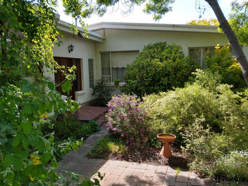 139 Duffy Street, Ainslie, ACT 2602 - realestate.com.au