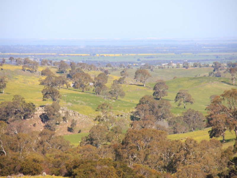 Lot 2 Nyoka Road, Macclesfield, SA 5153 - Property Details