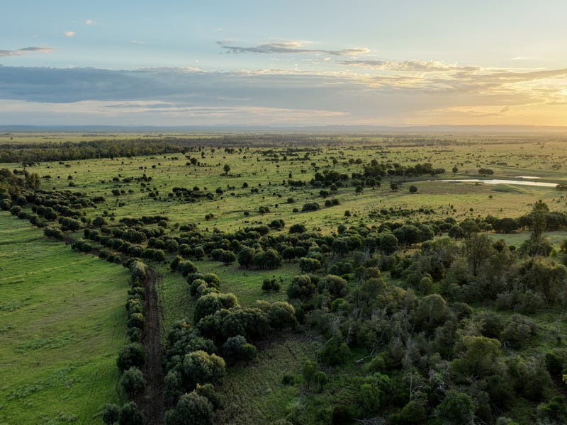 2020 Waylandia Valley Road, Rolleston, Qld 4702 - Property Details