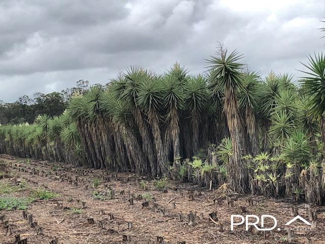 89 Honors Road, Alloway, Qld 4670 - Property Details