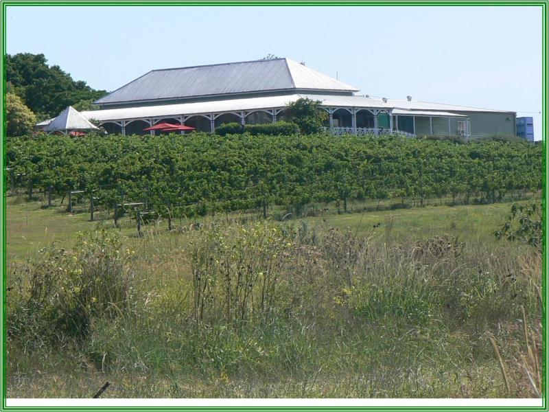 869 Mundoolun Connection Road, Tamborine, QLD 4270 - realestate.com.au