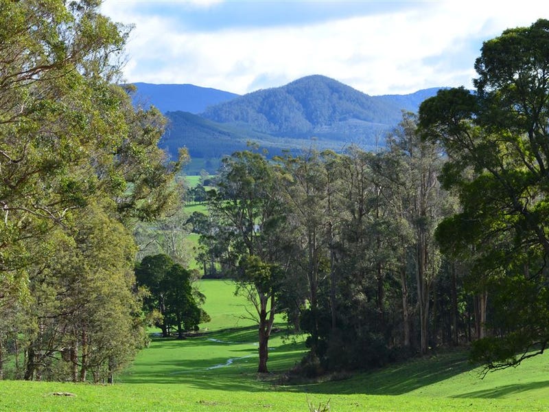 189 Mathinna Plains Road, Ringarooma, Tas 7263 - Property Details