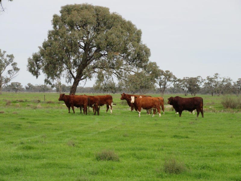 387 Rathbone Road, Caldwell, NSW 2710 - Property Details