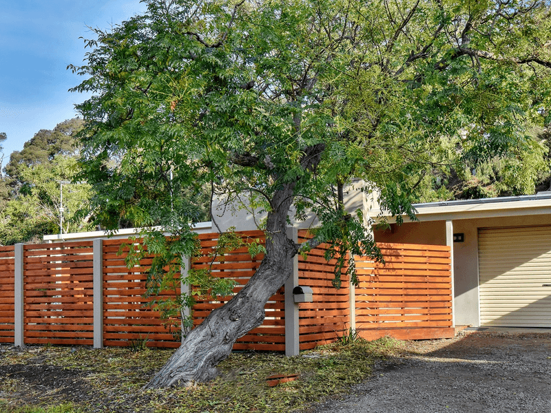 38 Napier Street, Rye, VIC 3941 - realestate.com.au