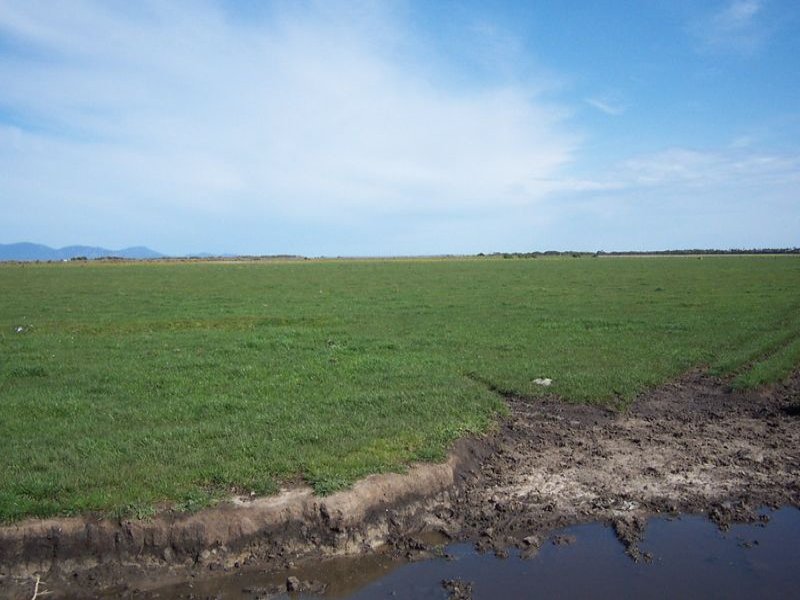 183 Toora Jetty Road, Toora, VIC 3962 - realestate.com.au