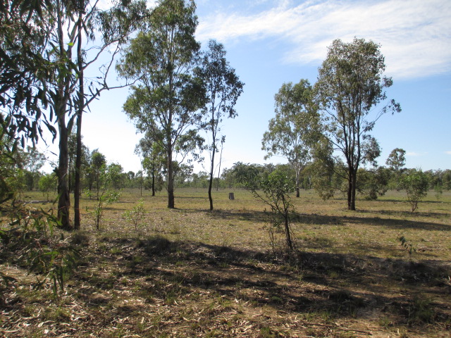 LOT 4 WEITZELS ROAD, Tara, Qld 4421 - Property Details