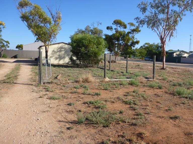 17 Seventh Street, Morgan, SA 5320 - realestate.com.au