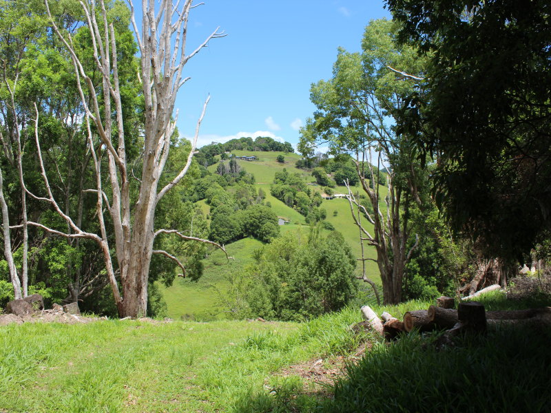 447 Cobaki Road Cobaki NSW 2486 Realestate au 447-cobaki-road-cobaki-nsw-2486-realestate-au