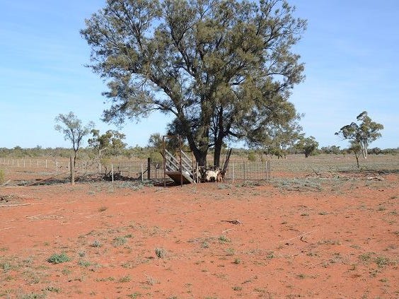 * Kiama, Ivanhoe, NSW 2878 - Property Details