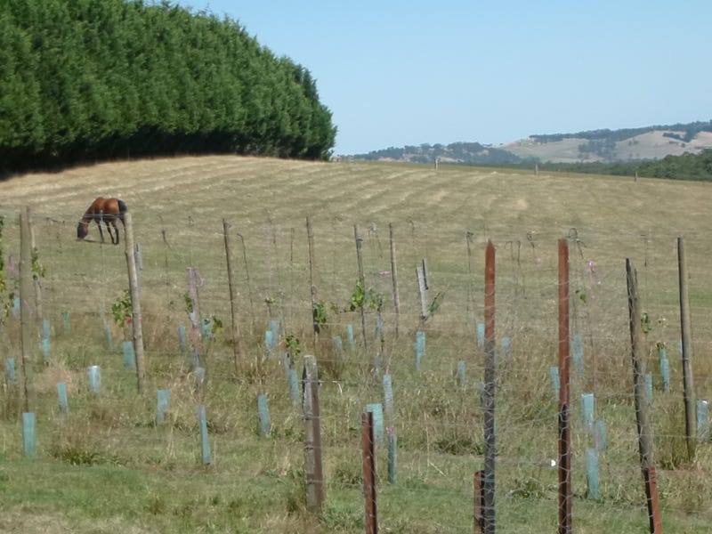 150 Paternoster Road, Cockatoo, VIC 3781 - realestate.com.au