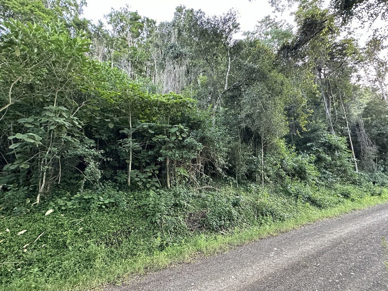 Rural properties for Sale in Taree - Greater Region, NSW Pg. 3 ...