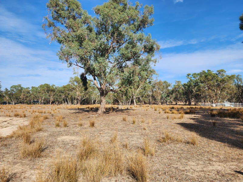 88 Palmerston St South, Baddaginnie, Vic 3670 - Lifestyle for Sale ...