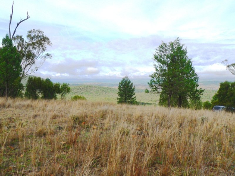 Lot 225 Attunga Forest Road, Tamworth, NSW 2340 - Property Details