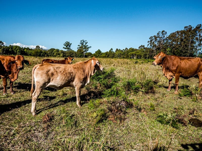 575 Gympie Kin Kin Road, Kin Kin, QLD 4571 - realestate.com.au