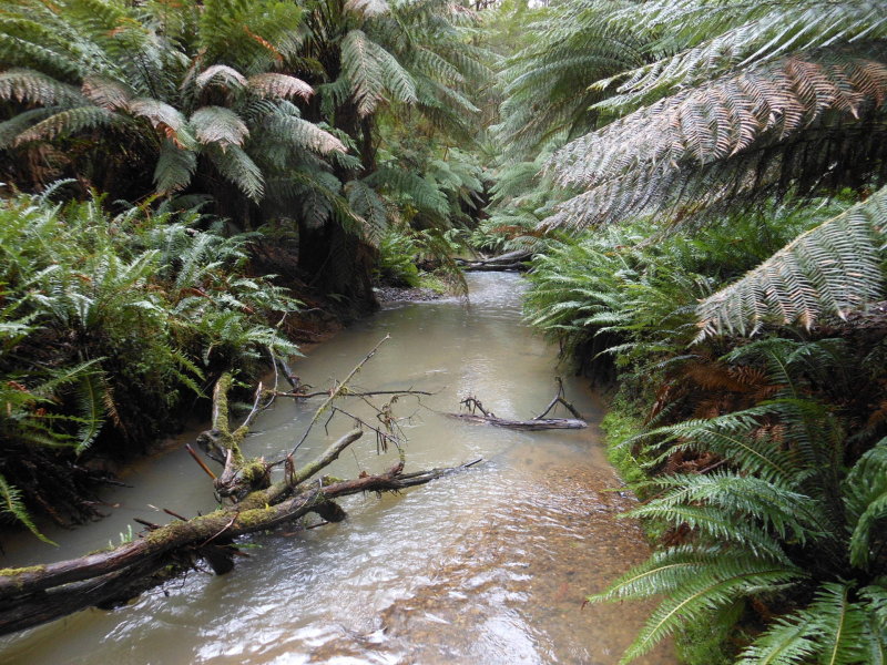 870 Forrest Apollo Bay Road, Barramunga, Vic 3249 - Property Details