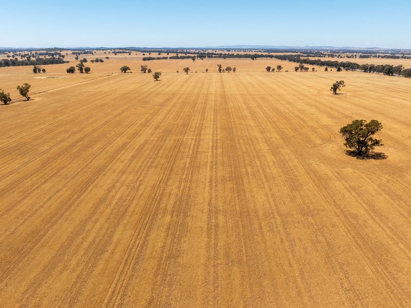 500 Back Walbundrie Rand Road, Walbundrie, NSW 2642 - Property Details