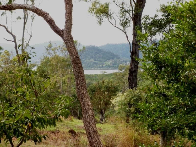 252 Paluma Road, Woodwark, QLD 4802 - realestate.com.au