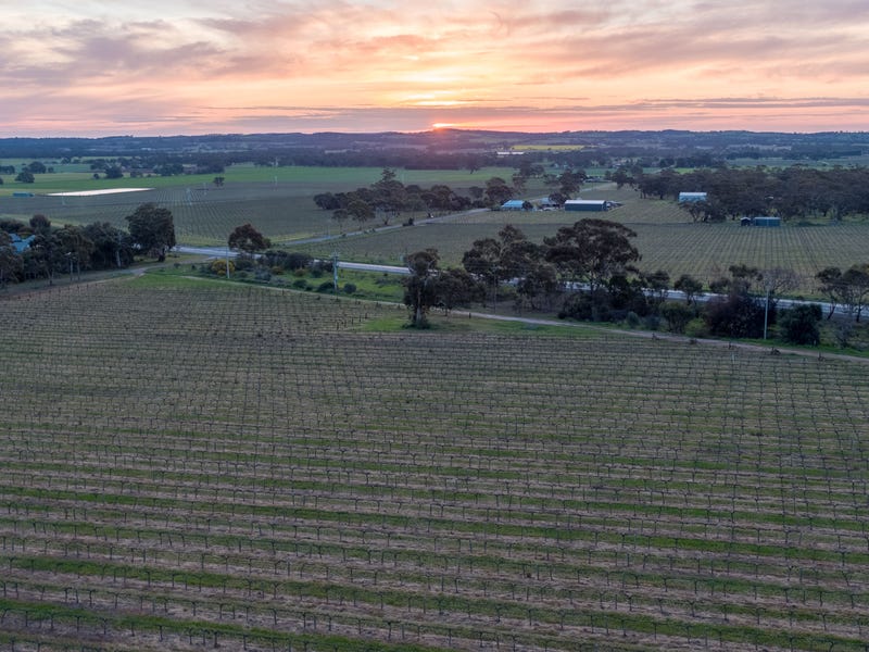 Lot 159 & 160 STURT HIGHWAY, Stockwell, SA 5355 - Property Details